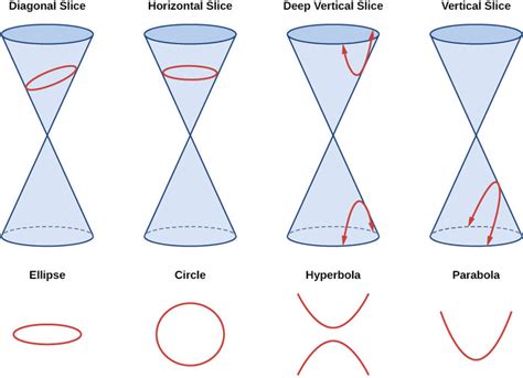 Unit Conic Sections Diagram Quizlet