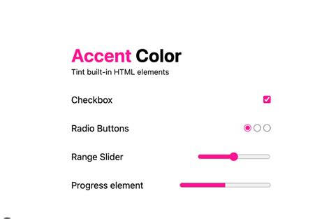 custom input với accent color trong css