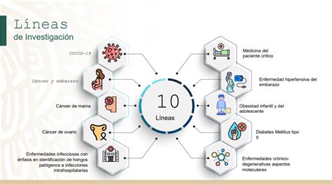 HRAEI Líneas de Investigación