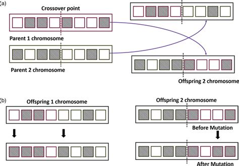 representation of a crossover sites and b mutation in genetic algorithm download