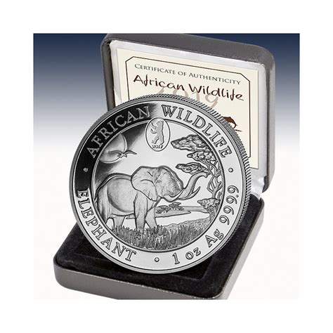 1 x 1 oz Silbermünze 100 SH African Wildlife Somalia Elefant WMF