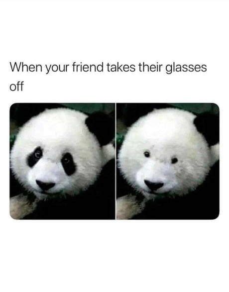 Glasses Meme Subido Por Tree Wood Memedroid