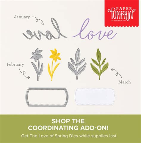 The January Paper Pumpkin Now Available Lola Rist Stampin Up