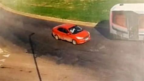 Caso Loan Analizan Una Toalla Con Sangre Hallada En Un Colegio