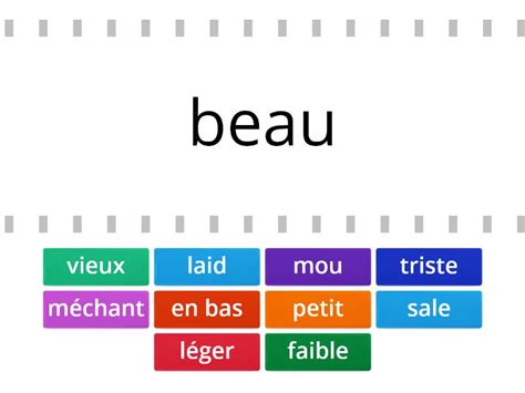 Les Adjectifs Et Leurs Contraires 2 Find The Match