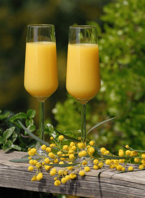 Mimosa Cocktail La Ricetta Del Drink Fresco E Frizzante