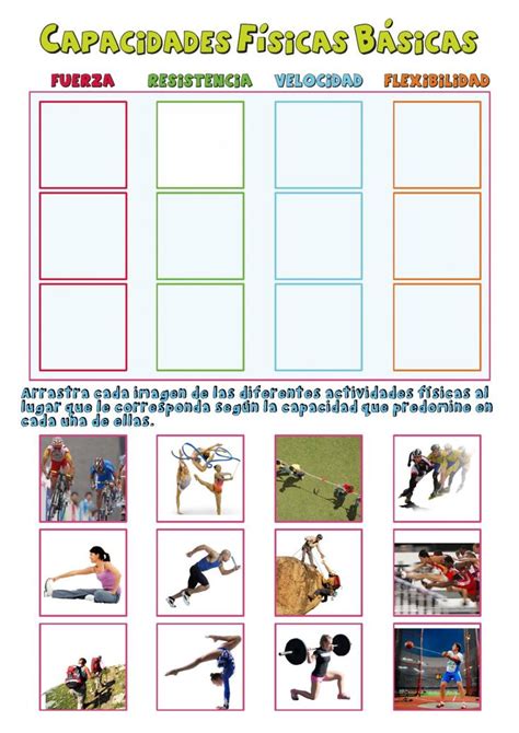 Sistema Locomotor Ficha Interactiva Ejercicios De Educacion Fisica