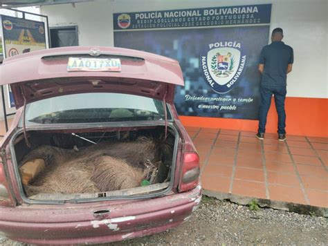 LuisSucesosLuis On Twitter Julio Francisco Villegas 52 Fue Detenido