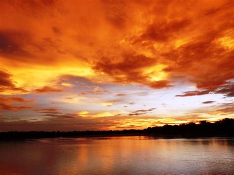 Zambezi Sunset Cruise Experience The African Sun In Victoria Falls