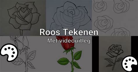 Roos Tekenen Met Afbeeldingen En Tekeningen