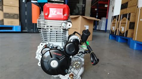 Oem Zongshen Cc Stroke Air Cooled Sohc Valve Cdi New Heat