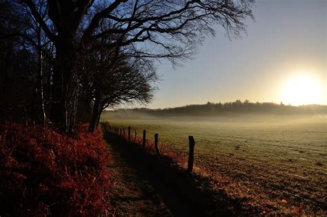 Kostenlose Foto Landschaft Baum Natur Wald Gras Horizont Winter