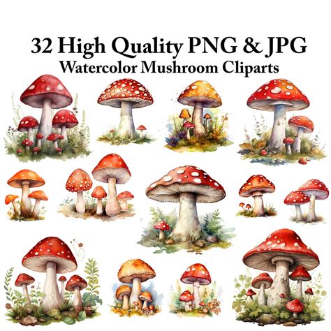 Mushroom Watercolor Clipart Watercolor Forest Art Fantasy Clipart
