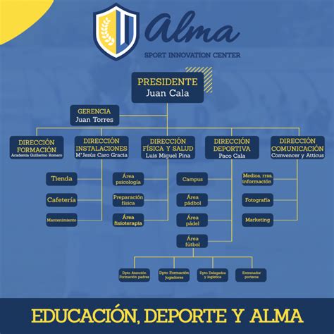 Un Organigrama Profesional Para Seguir Creciendo Alma Sport Center
