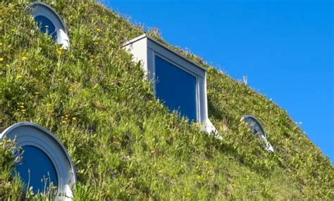 Los techos verdes más que una tendencia estética una fuente de