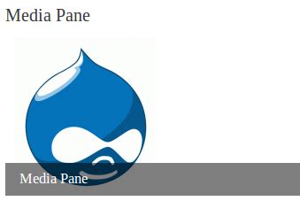 Media Pane Drupal Org