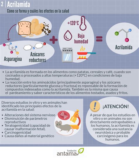 Todo Lo Que Debes Saber Sobre La Acrilamida Fundacion Antama