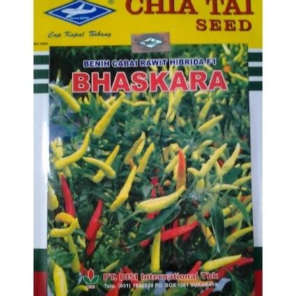 Jual Benih Cabe Rawit BHASKARA Hibrida F1 10 Gram Cap Kapal Terbang