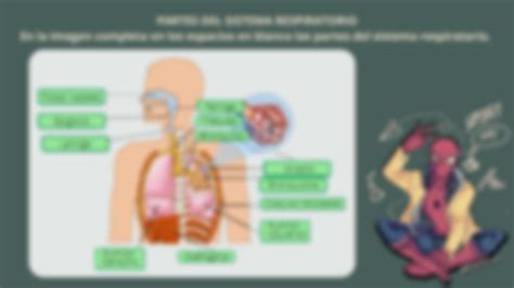 SOLUTION Vivenciamos Y Fortalecemos En Forma Interactiva Las T Cnicas
