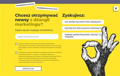 Lead Magnet Czym Jest I Jak Go Wykorzysta Kohai Content