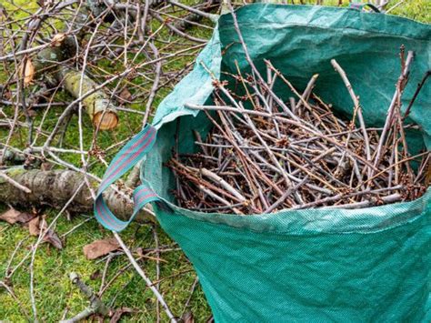 Dove Buttare Gli Scarti Di Potatura Smaltimento Sfalci E Potature