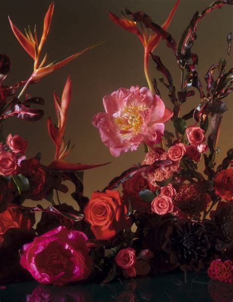 Flores De Bach Para Mejorar Tus Relaciones Interpersonales
