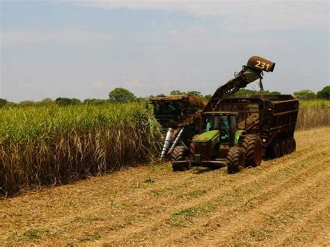 Moagem da cana de açúcar atinge 38 1 milhões de toneladas em MS