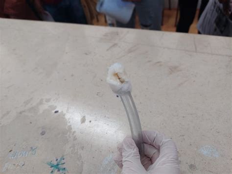 Prevenção do Tabagismo e Alcoolismo Petroensino Ensino e Formação