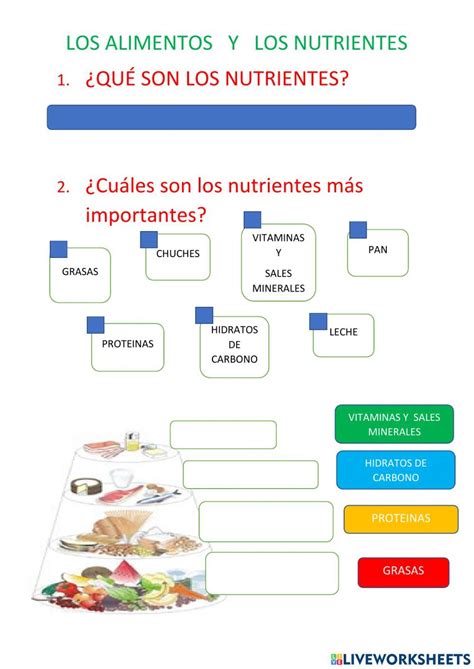 Nutrientes Medio Natural Worksheet Alimentos Actividades