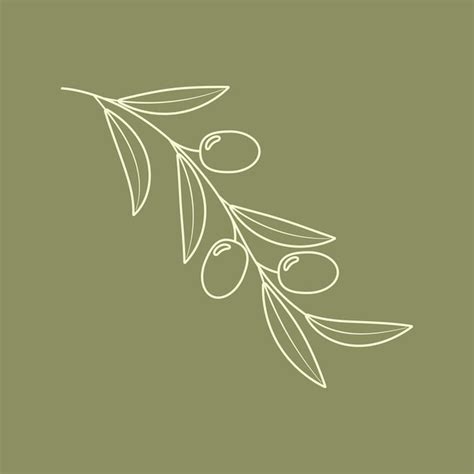 Premium Vector Olive Tree Branch With Fruits And Leaves Line Art