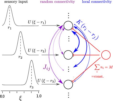 figure 1 from information content in continuous attractor neural networks is preserved in the