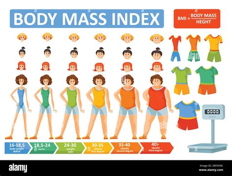Body Mass Index BMI Vektor Infografik Konstruktor oder weibliche Körper