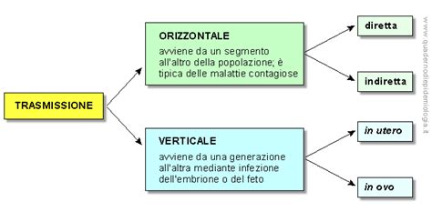 Trasmissione Orizzontale E Verticale