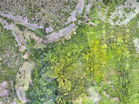 La leggendaria Città perduta amazzonica è stata scoperta da lidar