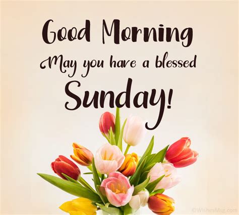 Happy Sunday Wishes Messages And Quotes Wishesmsg