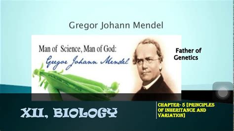 XII Biology Chapter 5 Part 2 YouTube