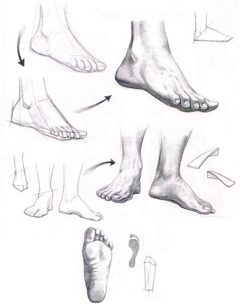 Aprender A Dibujar Manos Y Pies Como Dibujar Pies Pies Dibujo