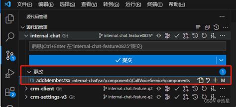 vscode中git的使用，以及与webstorm中git的使用对比 webstorm和vscode csdn博客