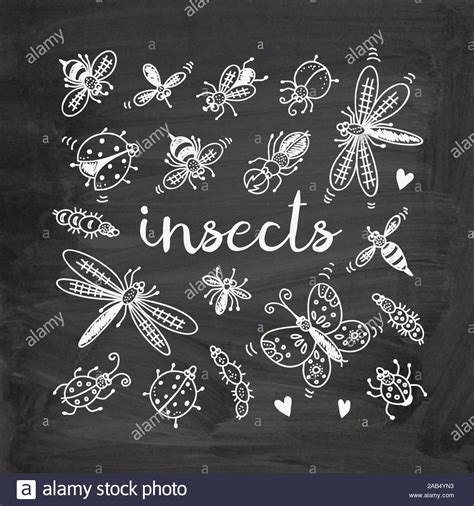 Insects Doodle Set Vector Collection On Chalkboard Background Stock