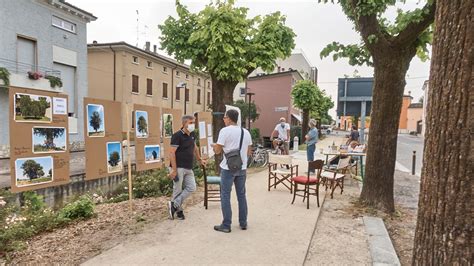 Un Paese E Il Suo Viale Alberato Festa Di Ricordi E Gusti Creativi