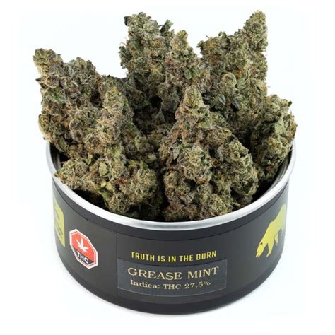 Buy Skookum Grease Mint 14g QUAD Online In Canada At Grass Chief