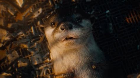 Qui N Es Lylla La Nutria De Guardianes De La Galaxia Y Cu Les Son