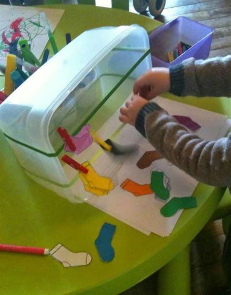 8 ideas de Plantas y árboles infantil plantas partes de la planta