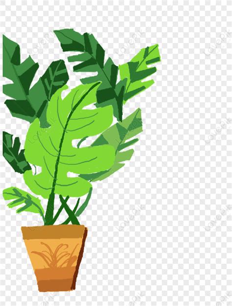 Plant Potted Plant Plant Transparent Plant Pot Minimalist Plant PNG