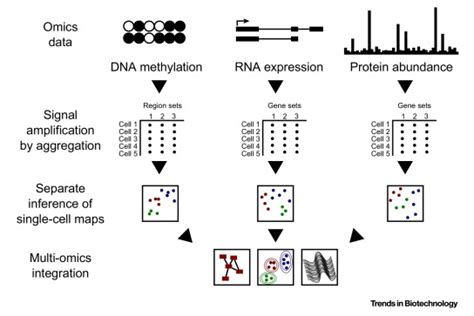 multi omics of single cells strategies and applications trends in biotechnology
