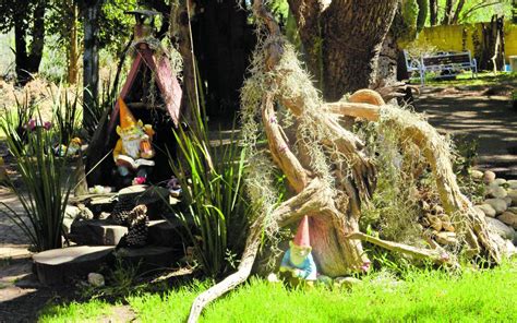 Huasca de Ocampo por qué se considera lugar de duendes El Sol de