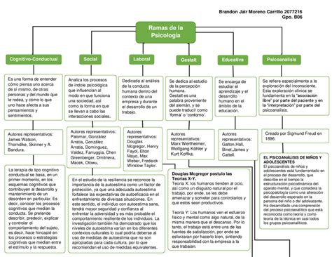 Ramas De La Psicolog A Mapa Conceptual Vida Emocional