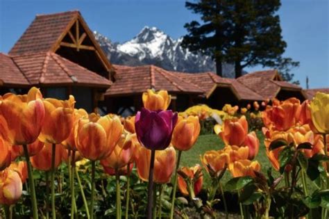 15 lugares MÁGICOS que ver en Bariloche GUÍA y MAPA