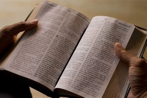 Cómo aprender a leer la biblia y entenderla Amparo Divino