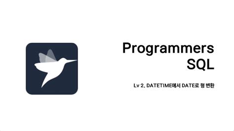 [programmers sql] lv 2 datetime에서 date로 형 변환 youtube